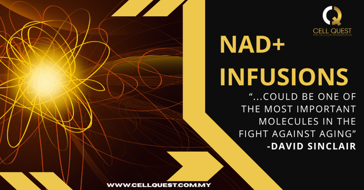 NAD+ Infusion Explained: Boost Your Well-being - Cell Quest