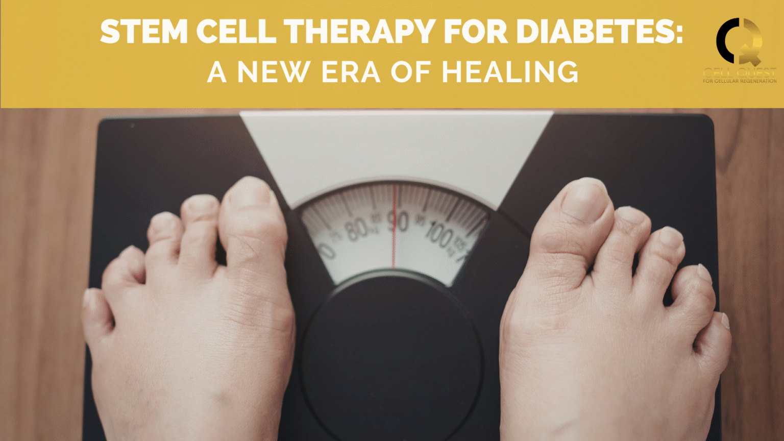 Malaysia's Leading Stem Cell & Regenerative Therapy Clinic | Cell Quest