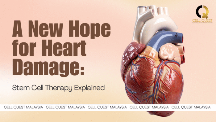 Malaysia's Leading Stem Cell & Regenerative Therapy Clinic | Cell Quest